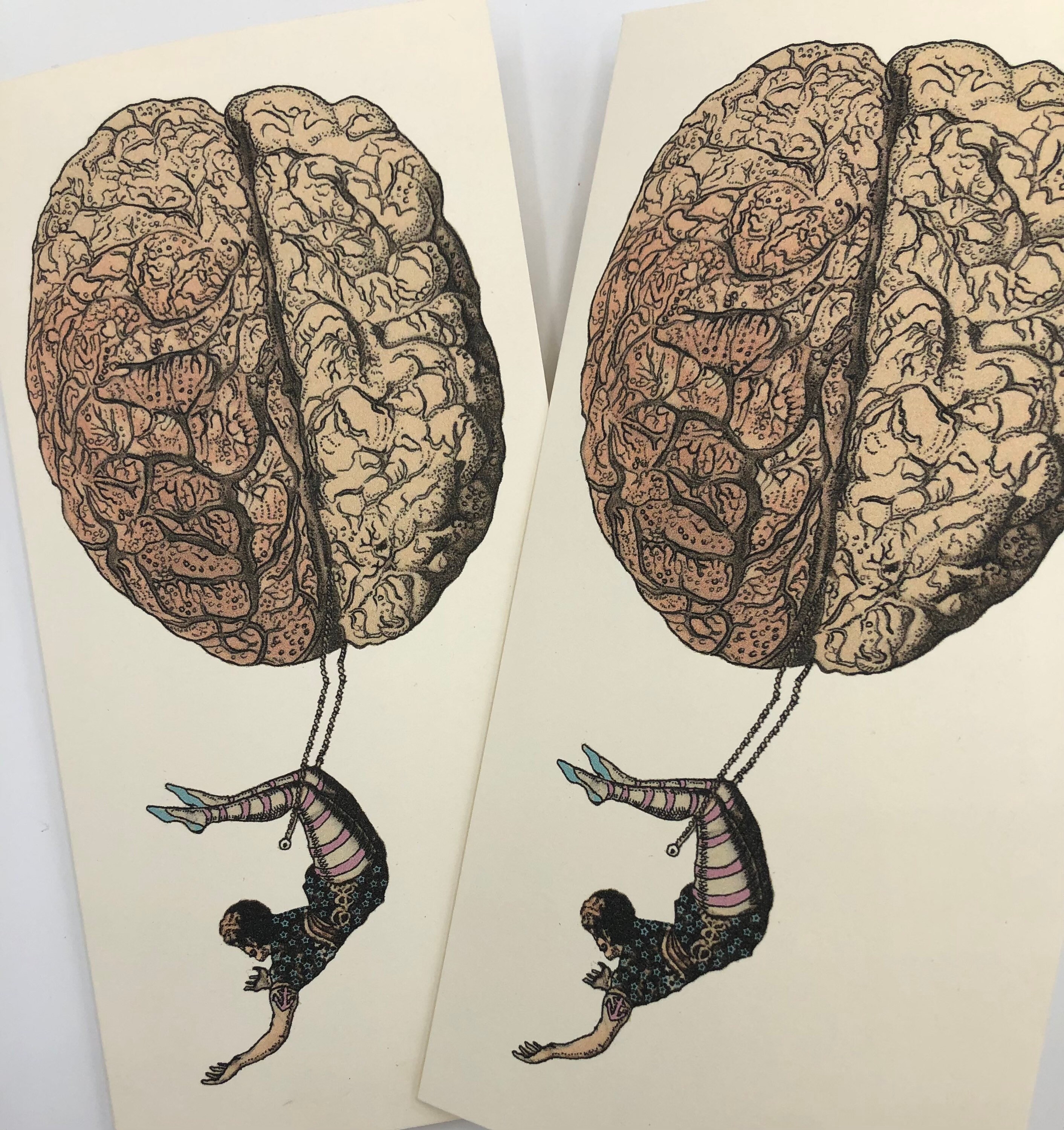Anatomy Card, Human Anatomy, Brain Card, Circus Trapeze Card ...