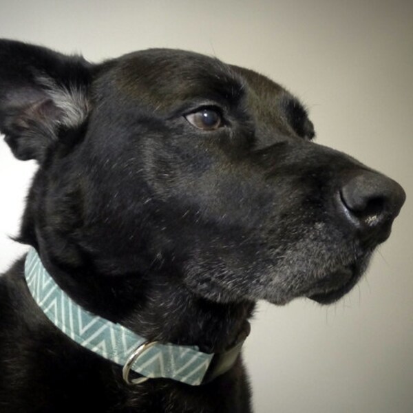 Chevron Dog Collar - Etsy