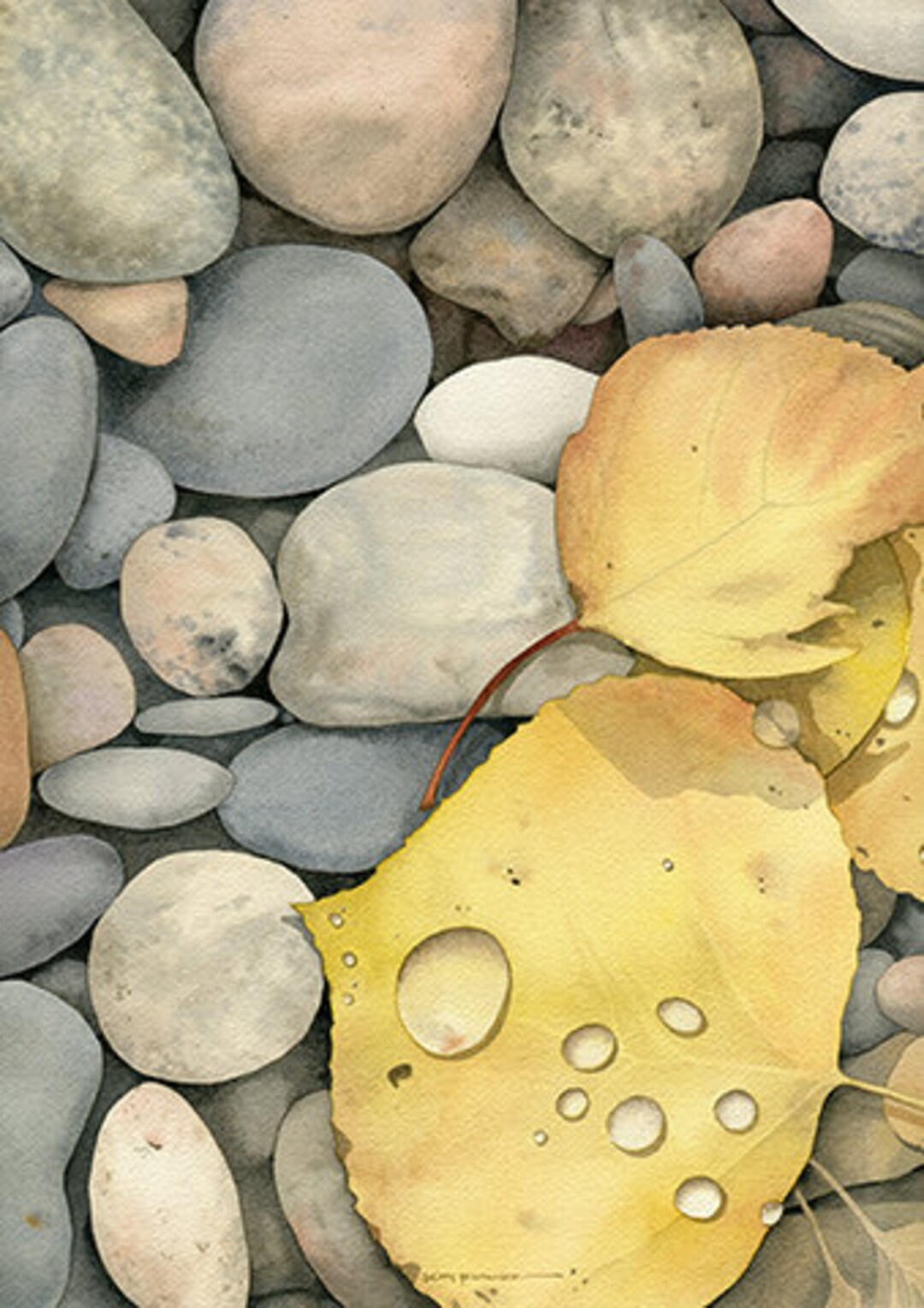 Aspen on the Rocks Digital Download Watercolor - Etsy