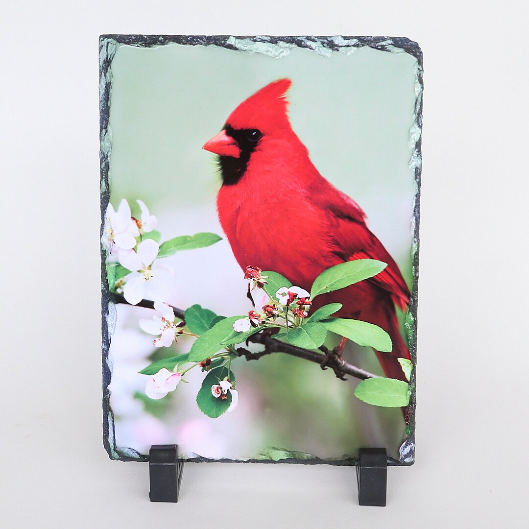 Cardinal Printed on Slate, Northern Cardinal Printed on Slate, Cardinal ...