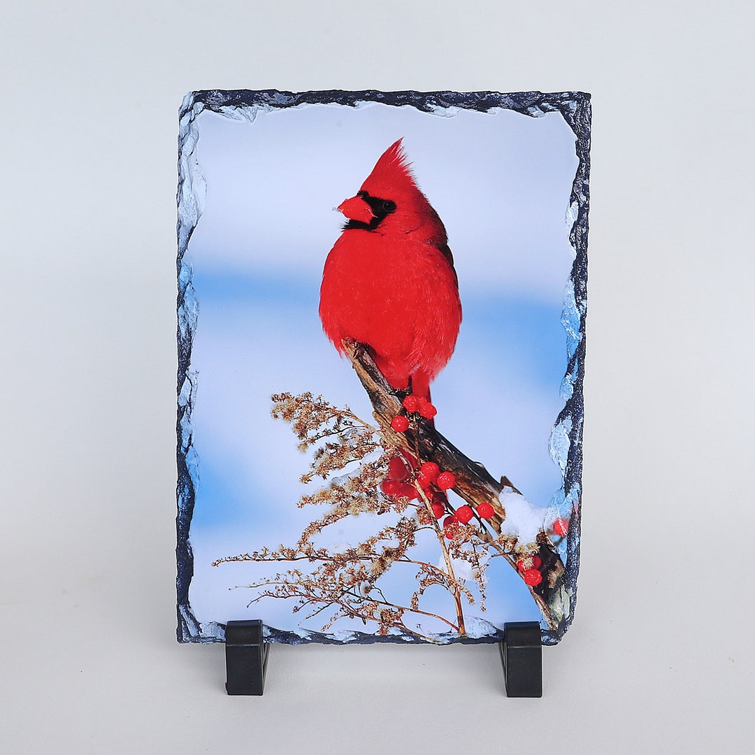 Northern Cardinal Photo on Slate, Cardinal Photo on Slate, Northern ...