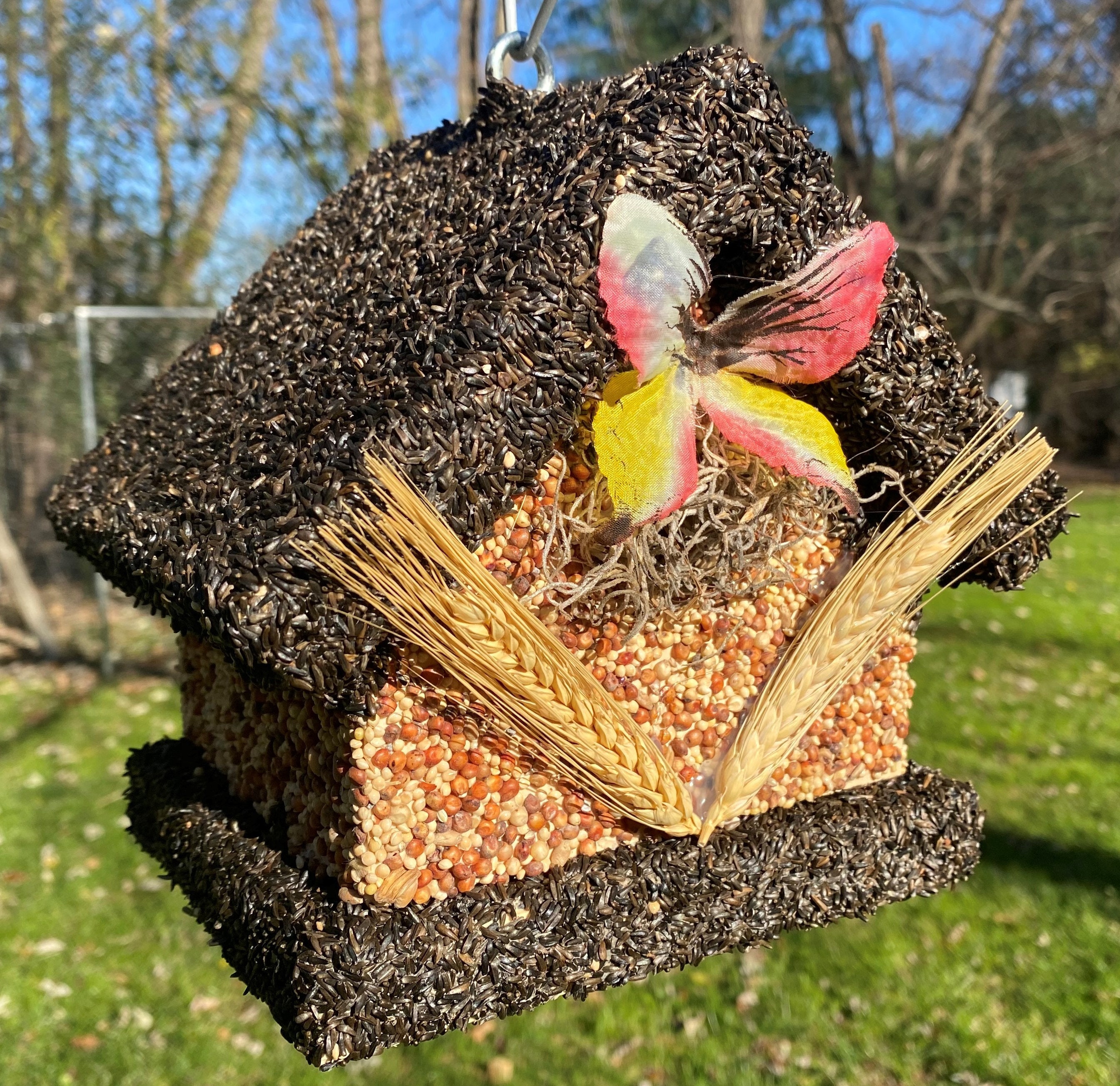 Edible Birdhouse - Etsy