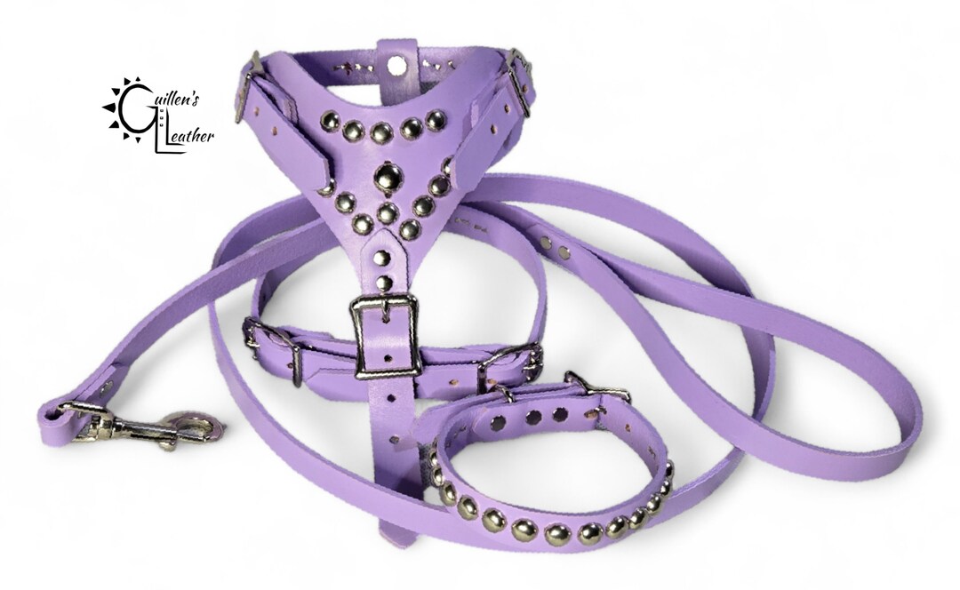 Small Dog Starter Leather Set harness, Collar, and Leash With Circle ...