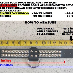 2 Inch Wide (flat Spikes and Big Spikes) Leather Dog Collar - Etsy
