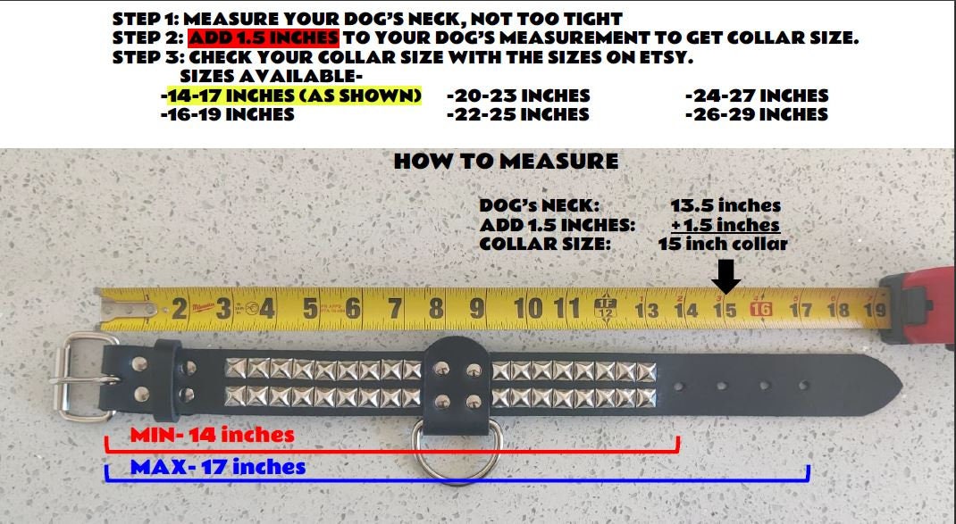 2 Inch Wide flat Spikes and Big Spikes Leather Dog Collar | Etsy