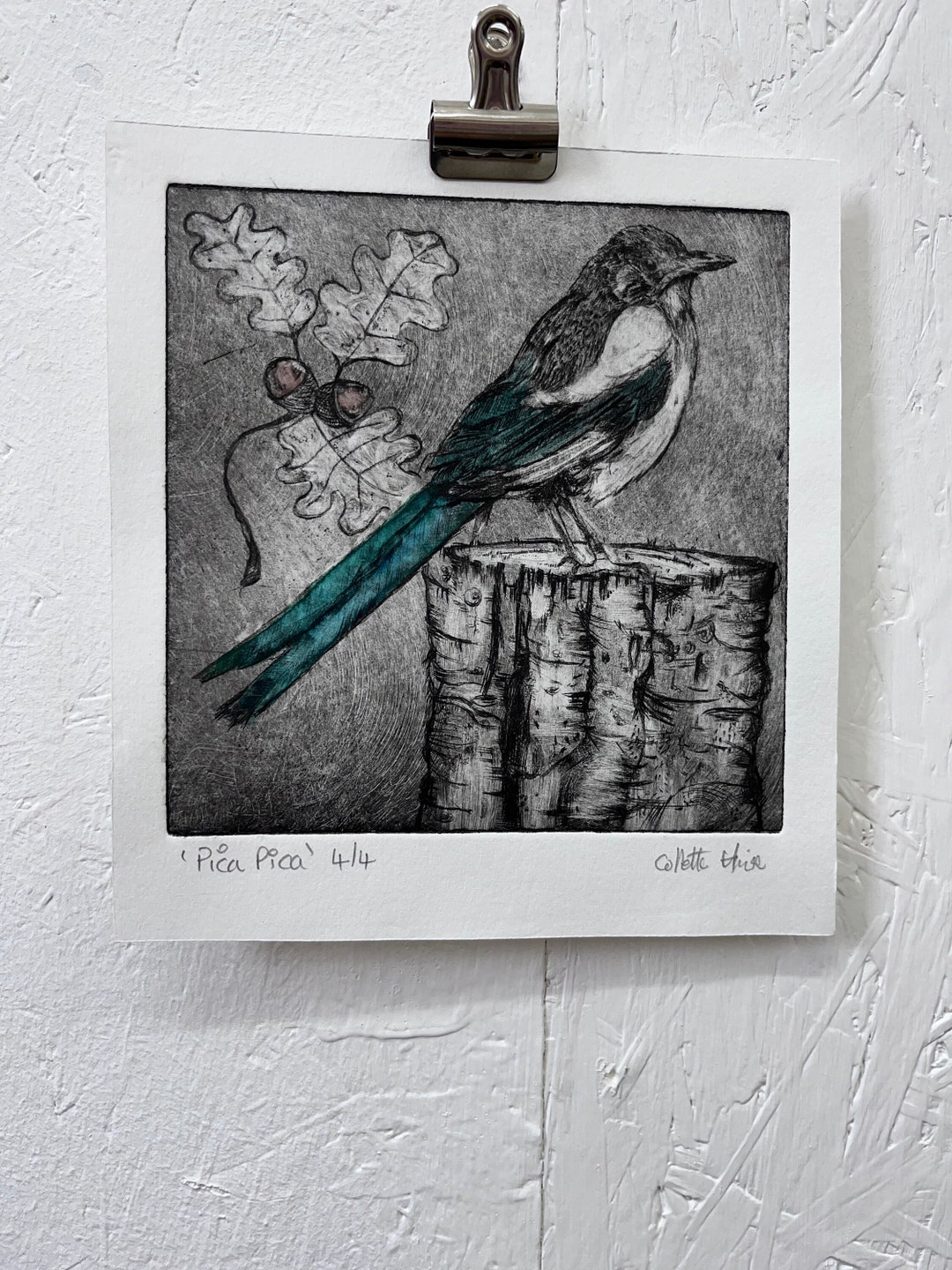 Magpie Acorn Oak Leaf Original Dry Point Print - Etsy