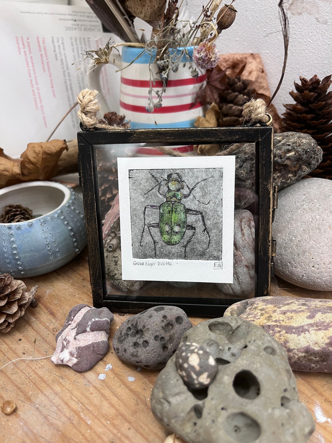 Beetle Insect Glass Framed Print Mini - Etsy