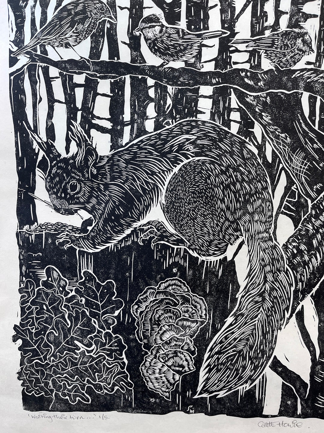 Red Squirrel and Birds in Forest Lino Print - Etsy