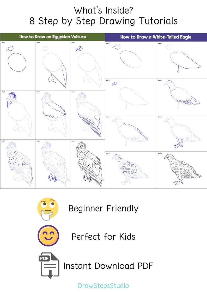 How to Draw Birds of Prey 2 | Animal World Drawing Book | Step by Step ...
