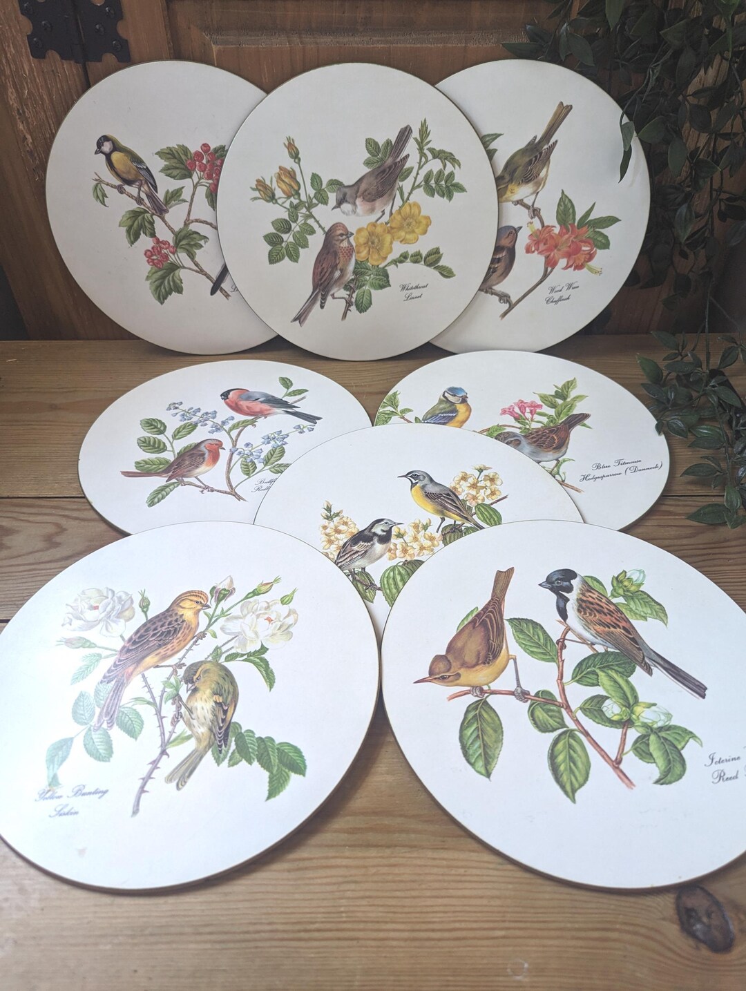Rare Vintage Lady Clare Garden Birds Round Placemats - Etsy