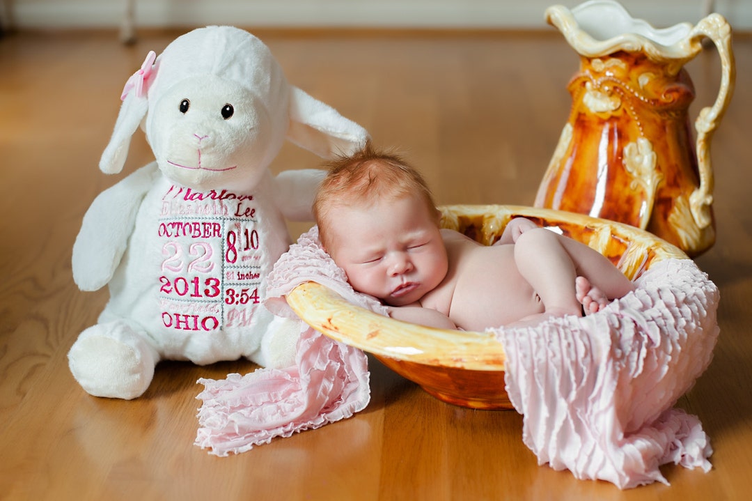 Personalized Stuffed Animal - Birth Announcement Stuffed Animal ...