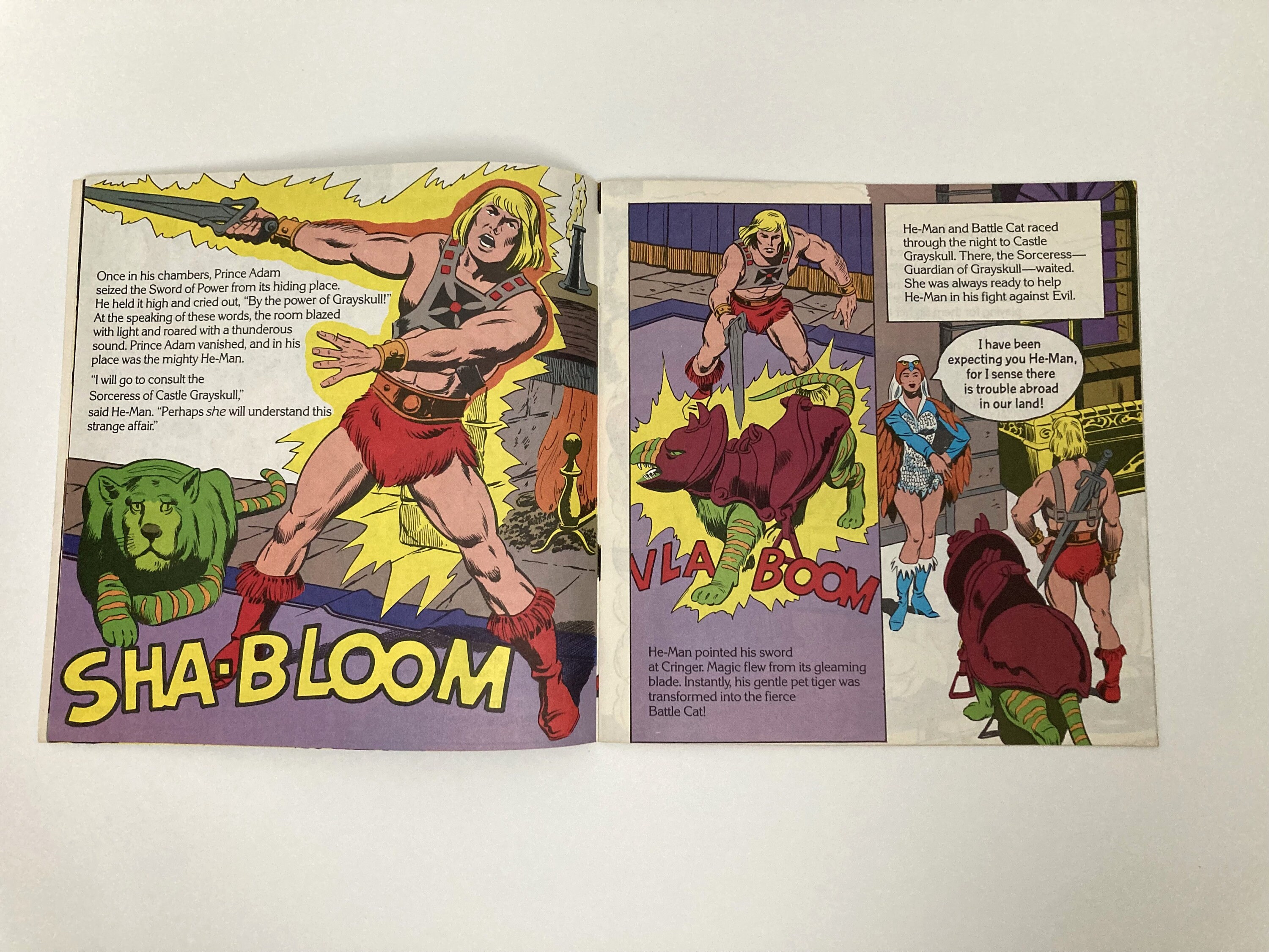 Vintage Masters of the Universe Book Mask of Evil He-man A - Etsy