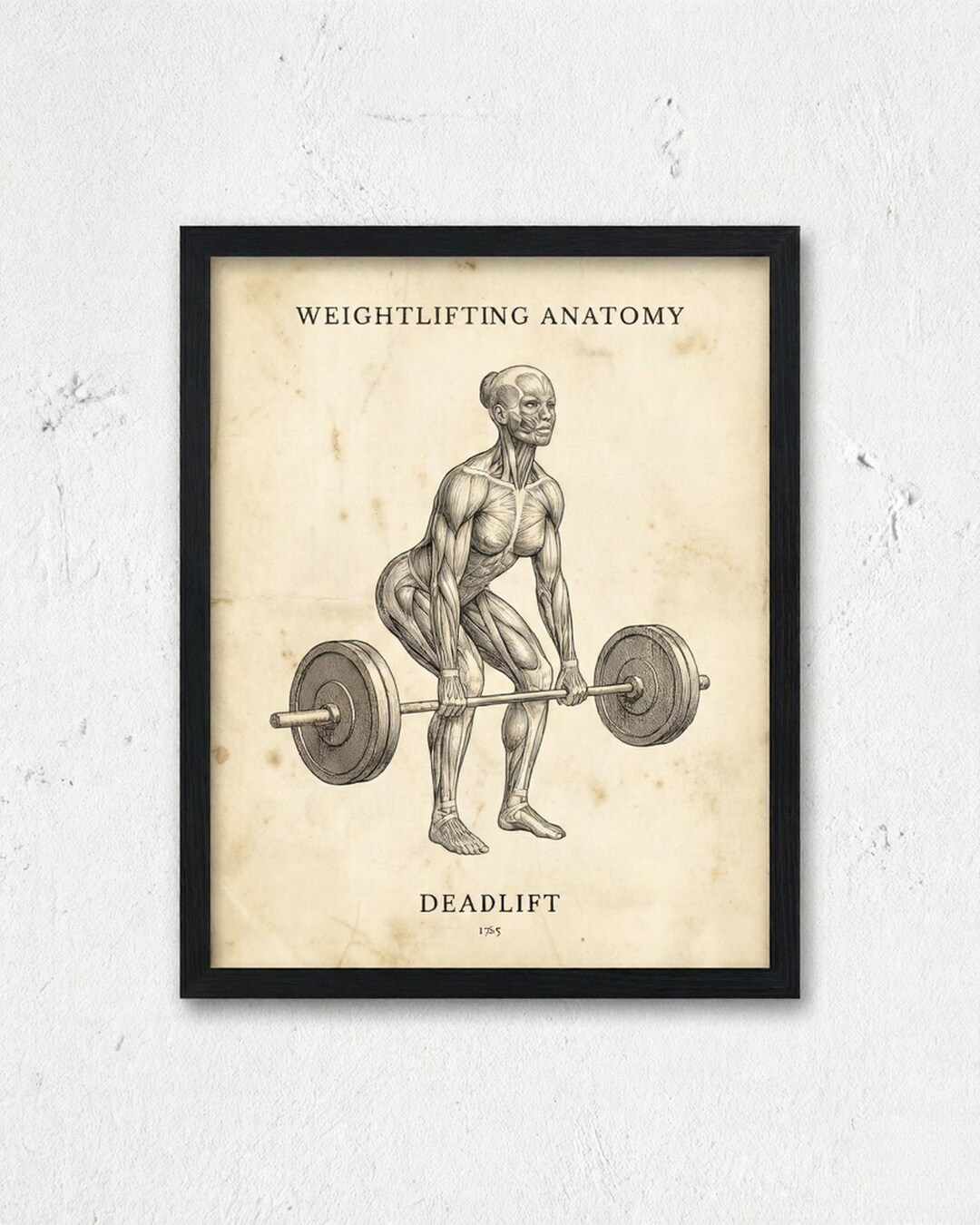 Deadlift Female | Digital Download | Vintage Anatomy Gym Poster Women ...