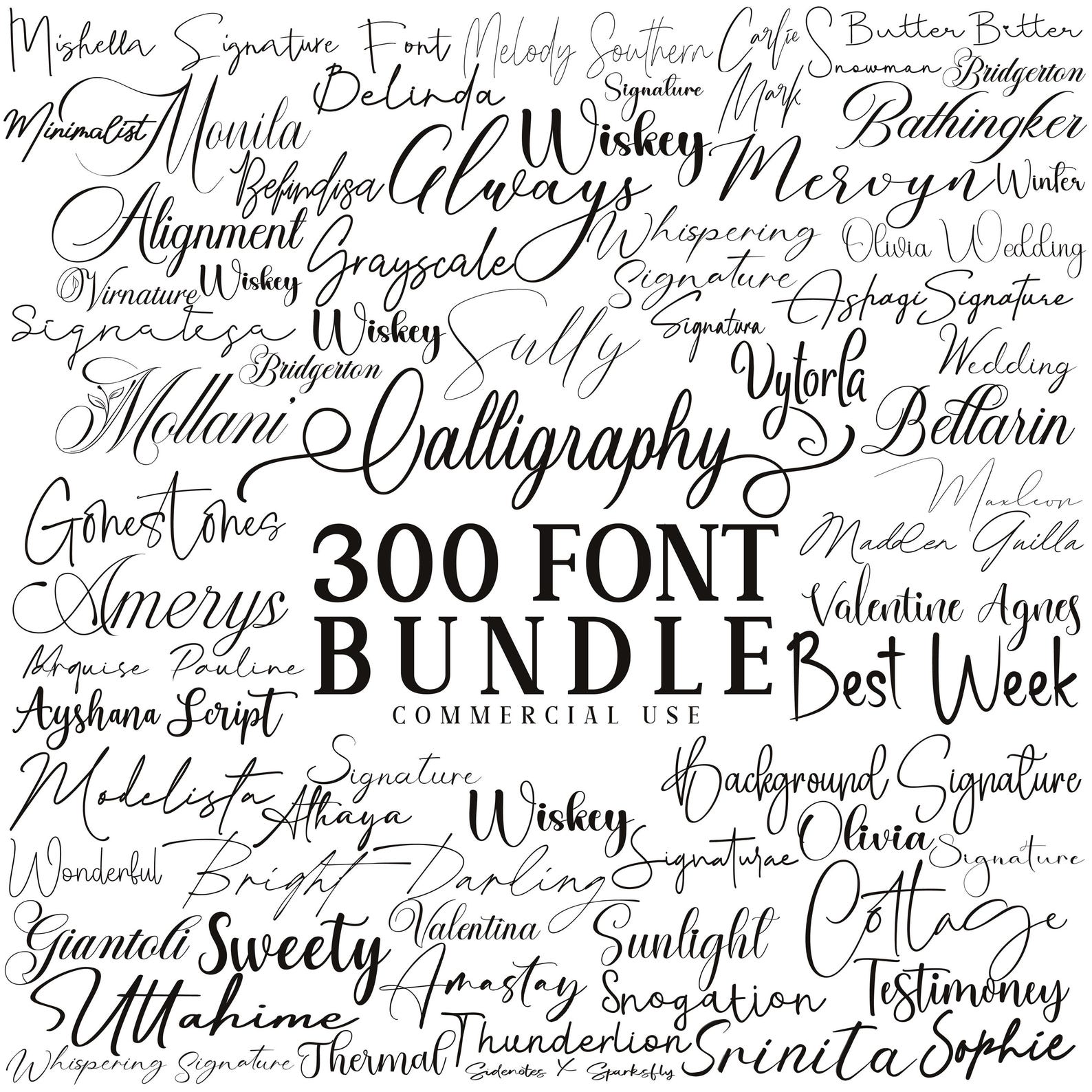 300+ Calligraphy Fonts Bundle: Decorative Fonts for Cricut, Handwriting ...