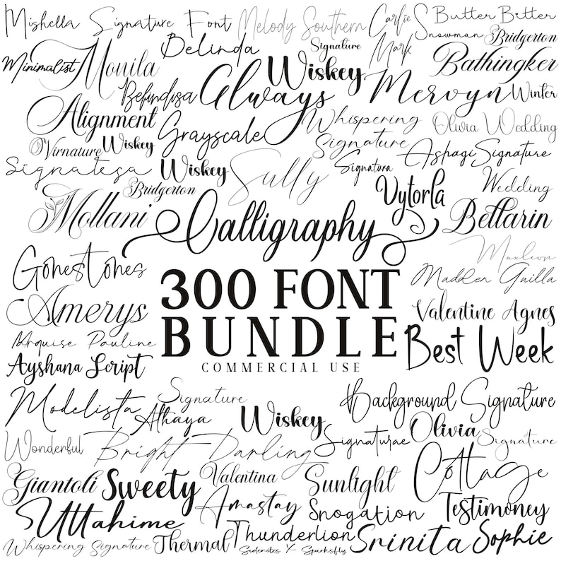 300+ Calligraphy Fonts Bundle: Decorative Fonts for Cricut, Handwriting ...