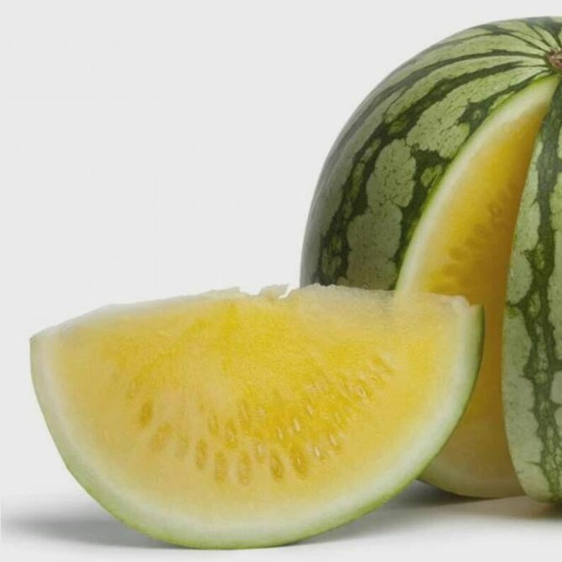 50+ Yellow Doll (seedless) Watermelon Seeds for Planting - Etsy