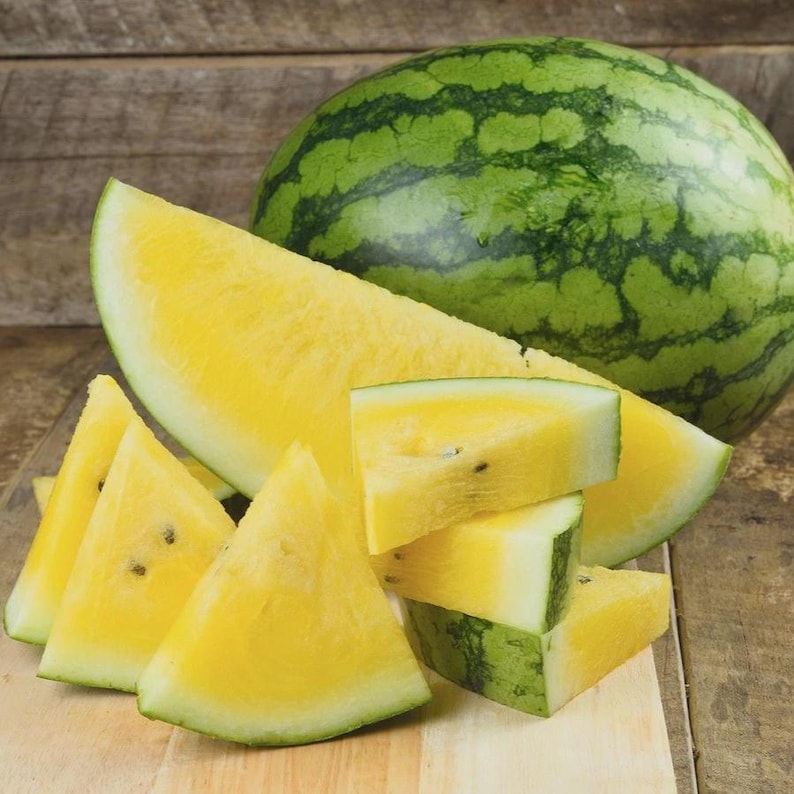 50+ Yellow Doll (seedless) Watermelon Seeds for Planting - Etsy