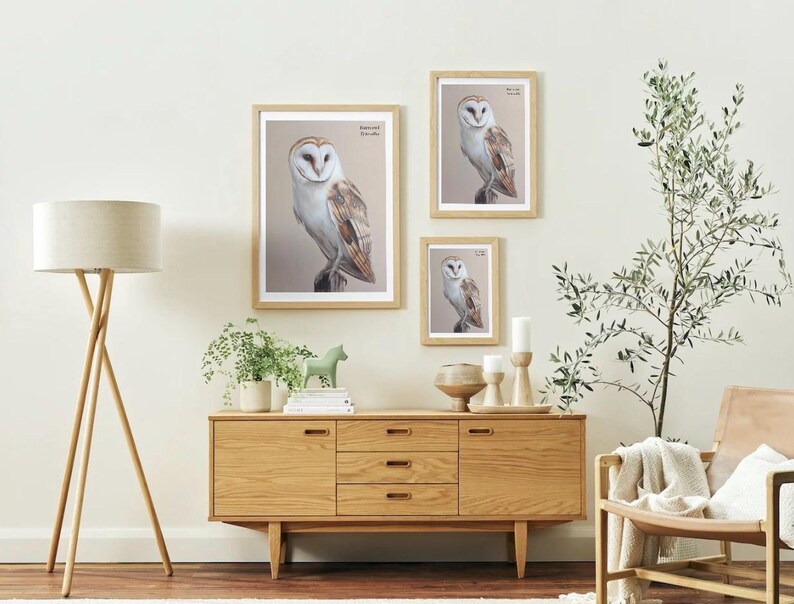 Barn Owl Poster – Wildlife & Animal Poster Print - British Species ...