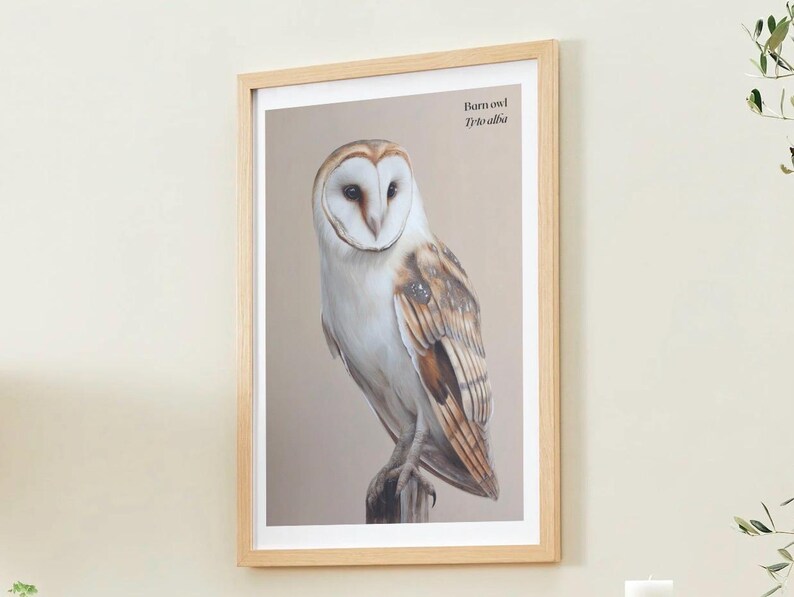 Barn Owl Poster – Wildlife & Animal Poster Print - British Species ...