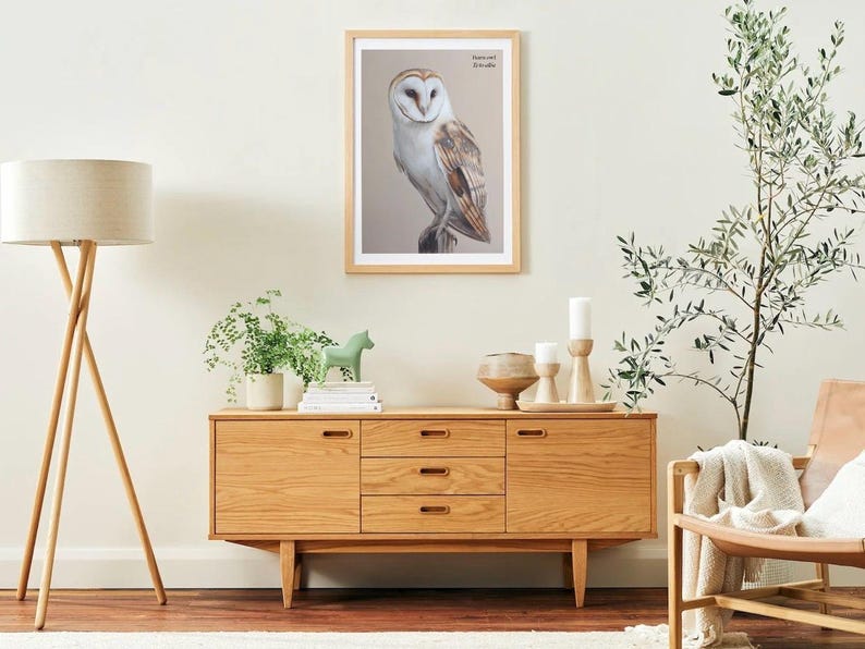 Barn Owl Poster – Wildlife & Animal Poster Print - British Species ...