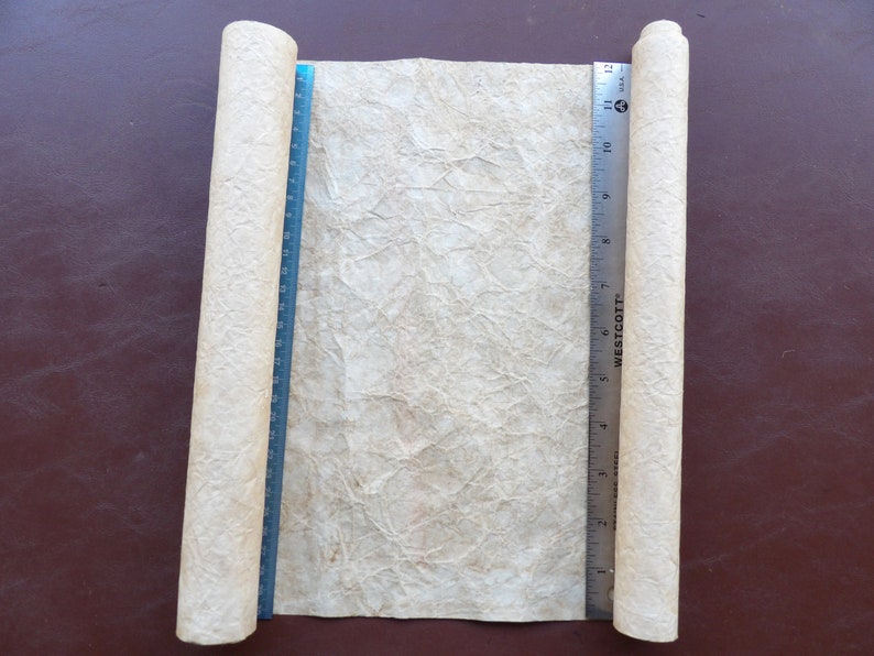 Ancient Scroll Aged Paper Medieval Renaissance Blank - Etsy