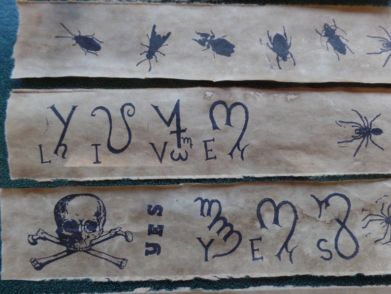 Book Marks Aged Paper Fun Bookmarks Bug Bookmark Theban | Etsy