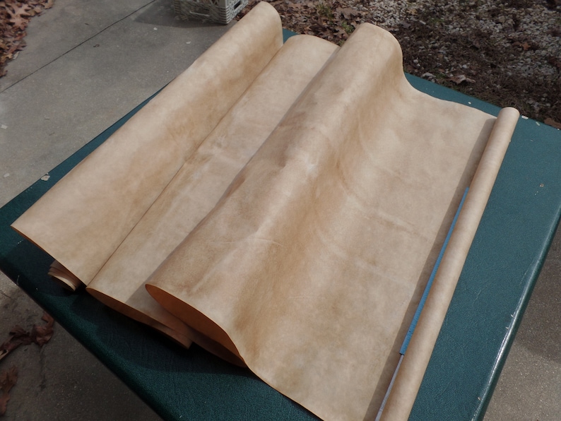 Ancient Scroll Aged Paper Medieval Scribal Renaissance | Etsy