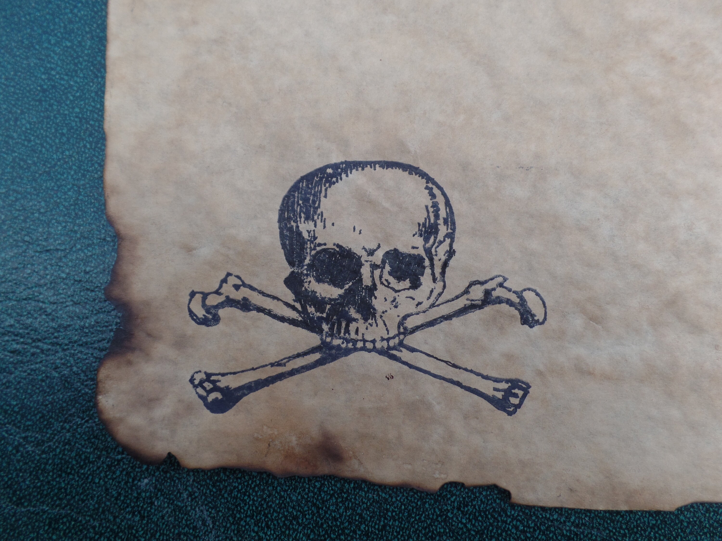 Treasure Map Fill in Map Yourself Blank Treasure Map Aged | Etsy