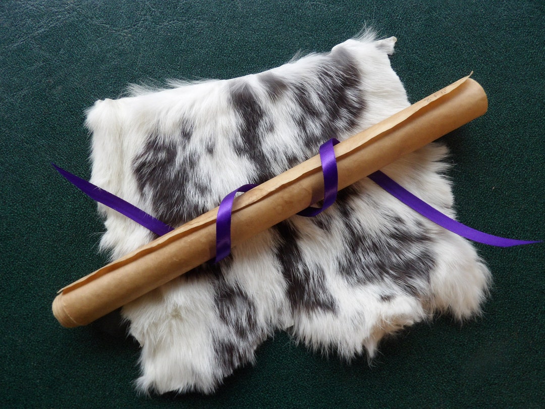 Aged Blank Scroll Wrapped in Rabbit Fur: Renaissance Medieval Decor - Etsy