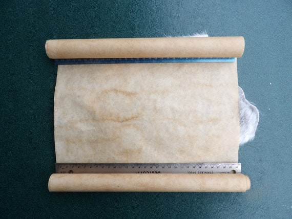 Blank Ancient Scrolls Old Paper Scroll And Parchment Cartoon Vector