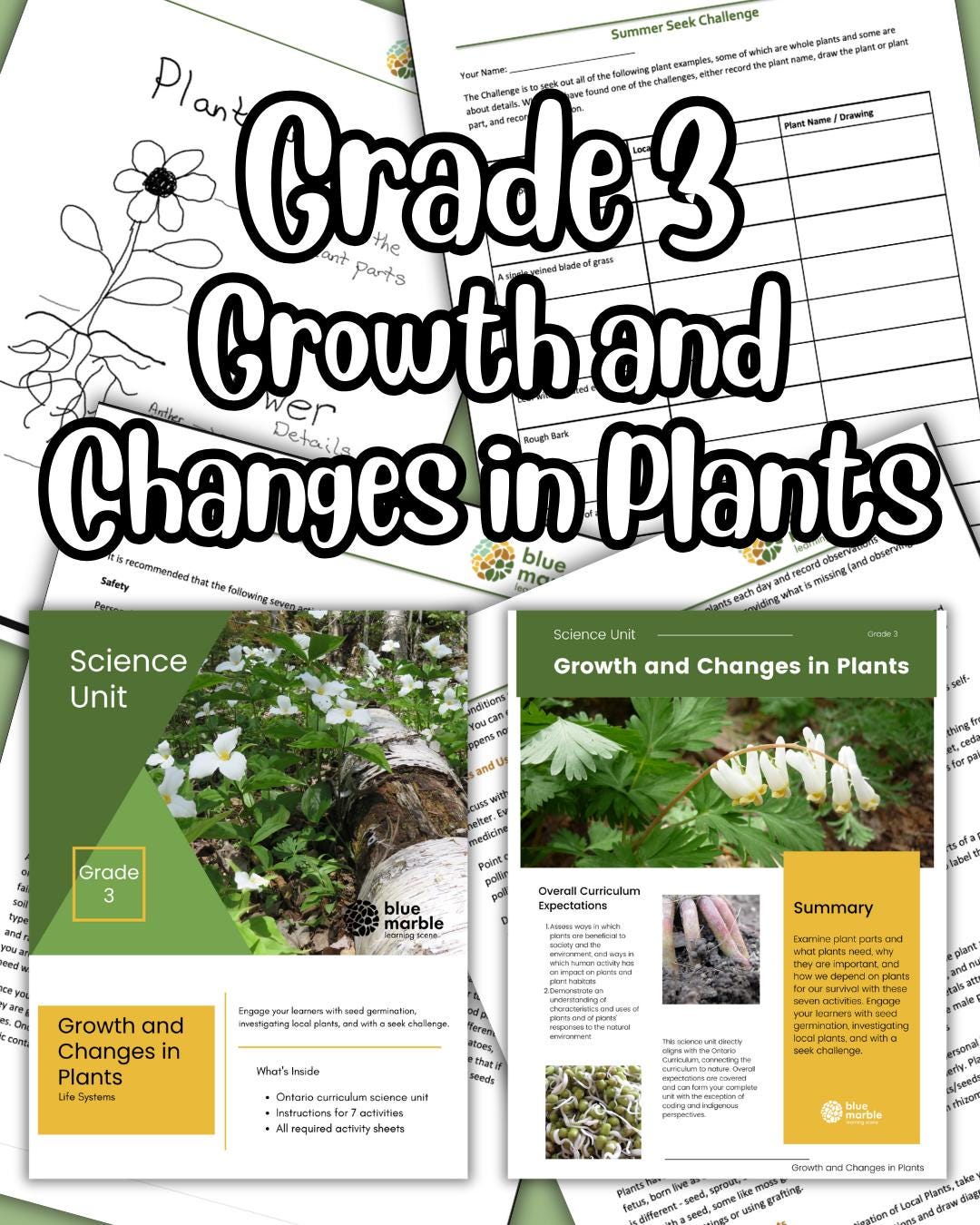 Grade 3 Growth and Changes in Plants Science Unit: Ontario Curriculum ...