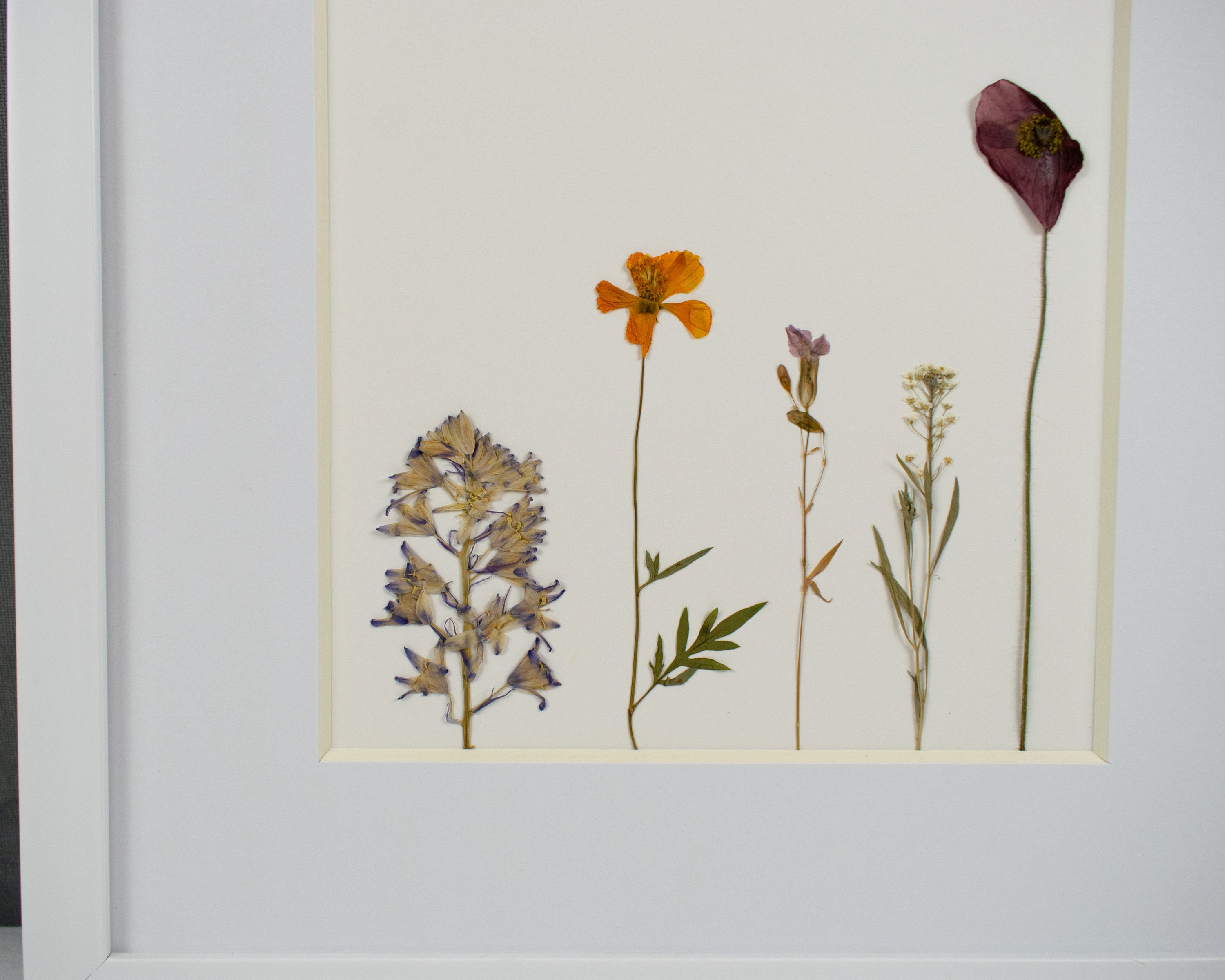 Dried Flowers #5, Framed, White - Etsy