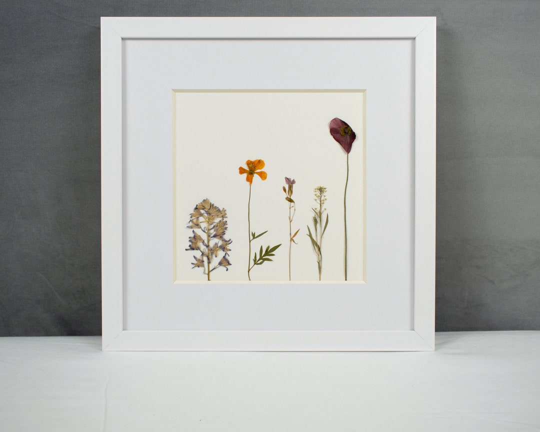 Dried Flowers #5, Framed, White - Etsy
