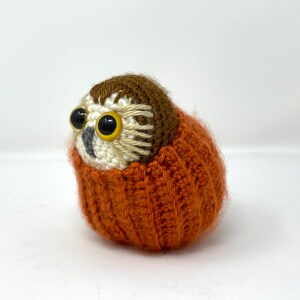 Rocky the Saw-whet Owl -MADE TO ORDER -free Domestic Shipping ...