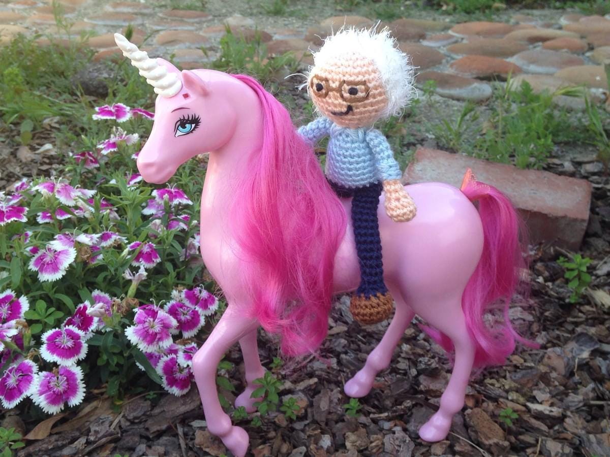 CROCHET PATTERN - Bernie Sanders Crochet Doll Pattern Feel the Bern - Etsy