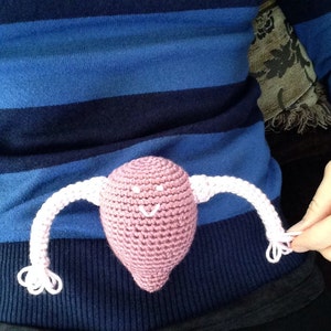 Uterus With Fallopian Tubes -MADE TO ORDER -free Domestic Shipping ...