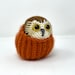 Rocky the Saw-whet Owl -MADE TO ORDER -free Domestic Shipping ...