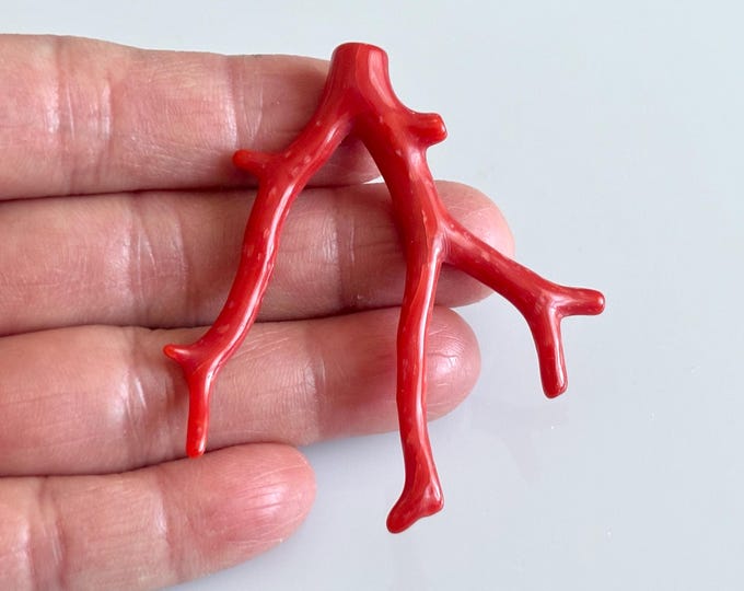 Genuine Italian Red Coral Branch – Natural Undrilled Coral 57x52mm ...