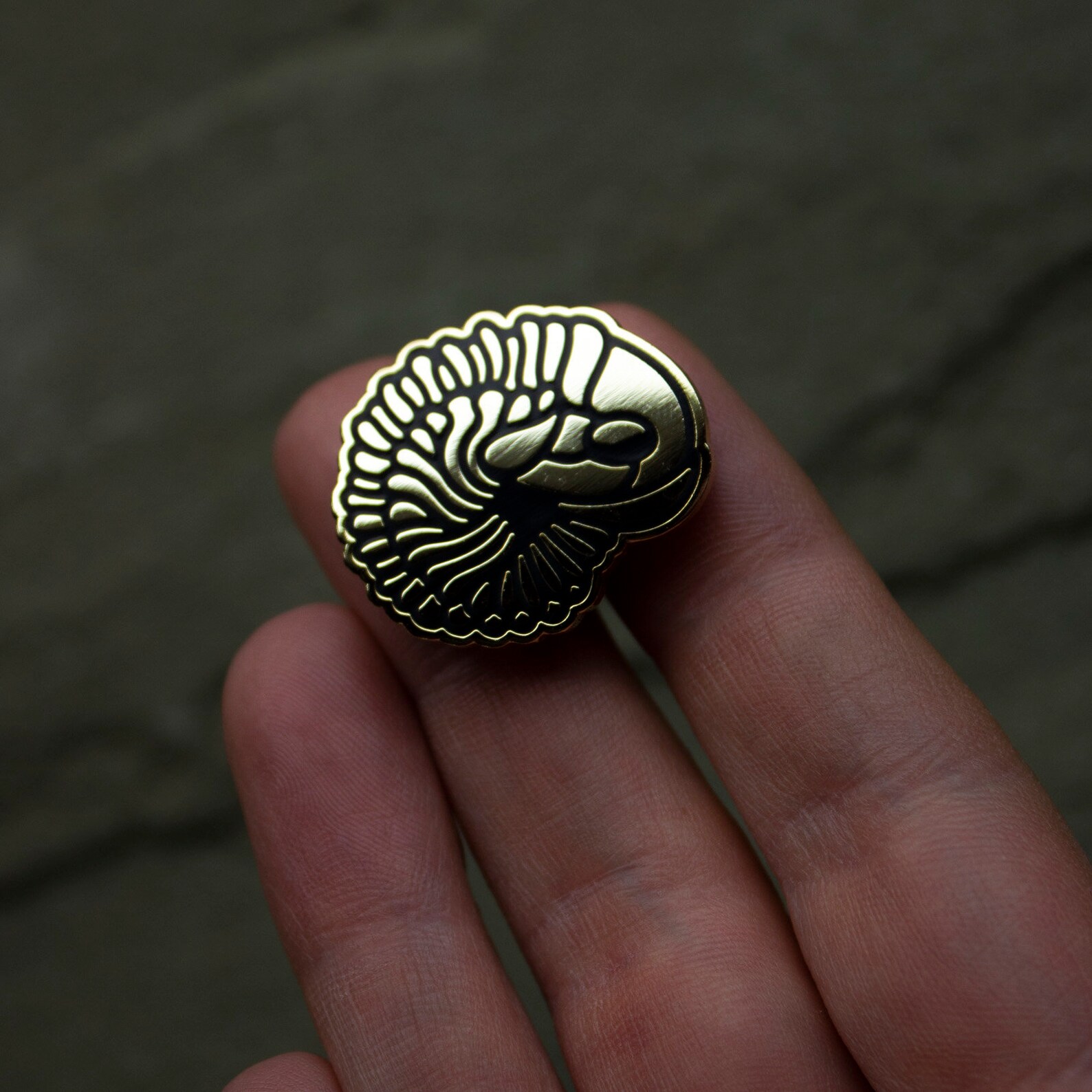 Trilobite Enamel Pin Science Pin Calymene Fossil Gift - Etsy