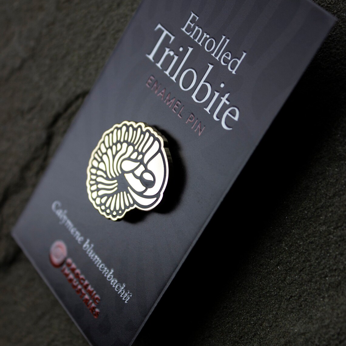 Trilobite Enamel Pin Science Pin Calymene Fossil Gift - Etsy