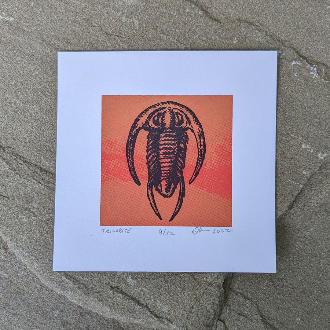 Little Trilobite Silkscreen Print | Fossil Art | Paleontology Wall Art ...