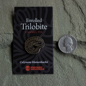 Trilobite Enamel Pin | Science Pin | Calymene Fossil Gift | Gift for ...
