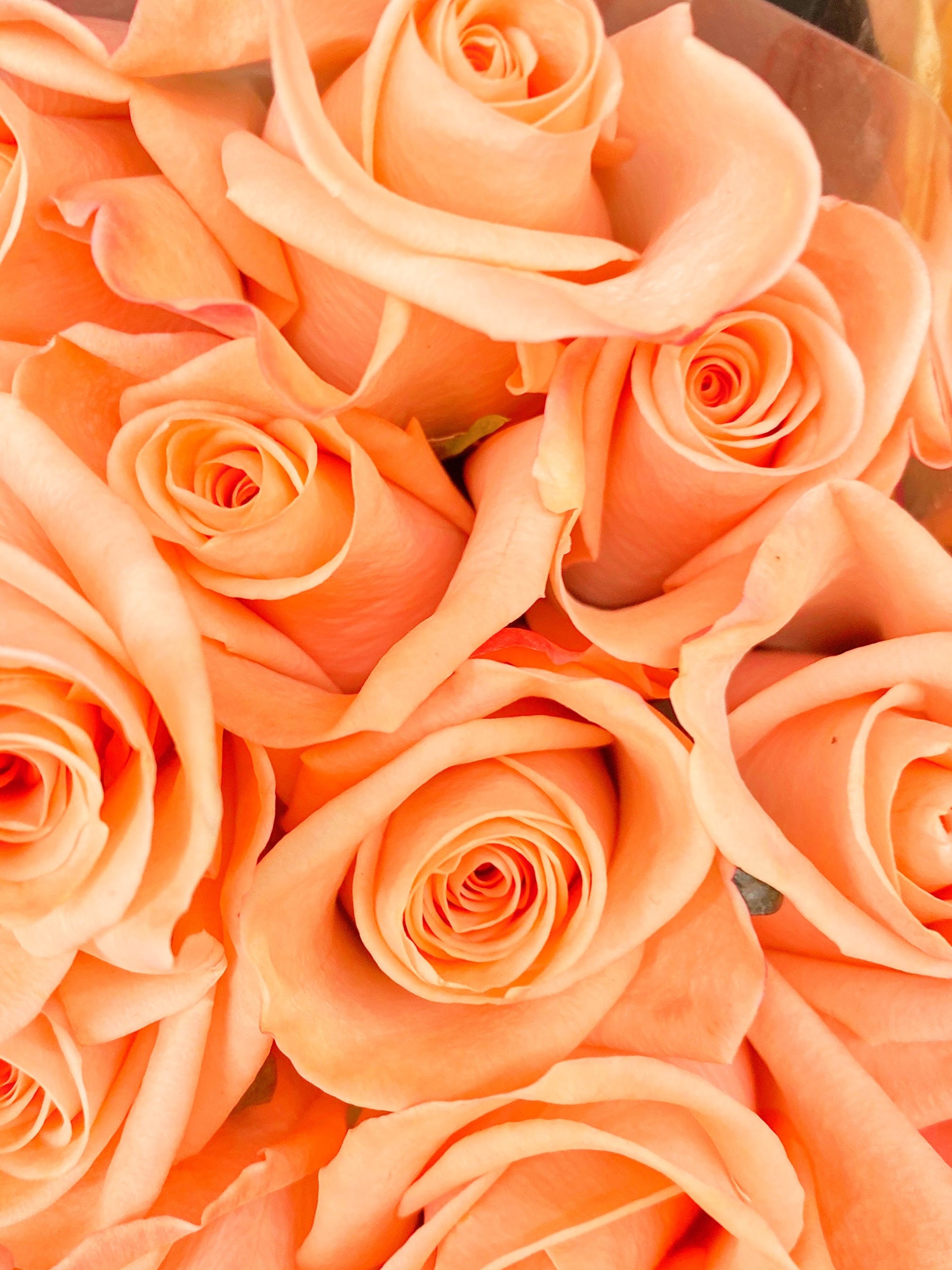 Bundle of peach roses bouquet prints digital photography | Etsy