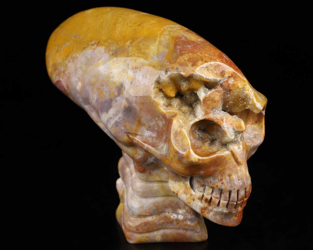 Skullis Crystal Skull, 3.6" Yellow Moss Agate Hand Carved Crystal ...