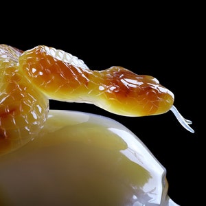 Skullis Crystal Skull, Five Poisons - 6.2" Carnelian Carved Crystal ...