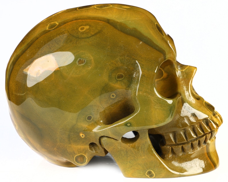 Skullis Crystal Skull, Hand Carved 5.2" Ocean Jasper Hand Carved ...