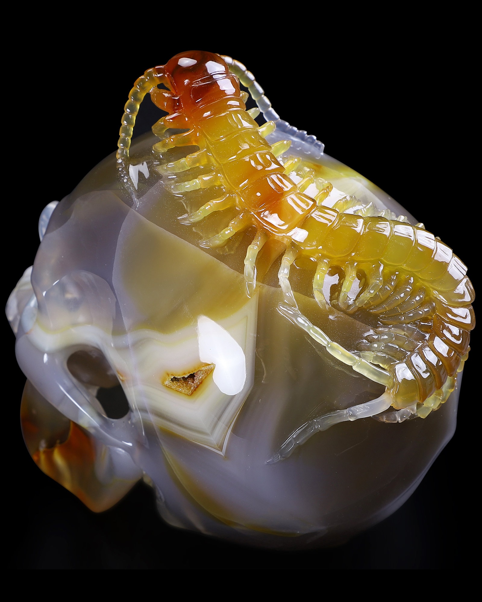 Skullis Crystal Skull, Five Poisons - 5.2" Carnelian Carved Crystal ...