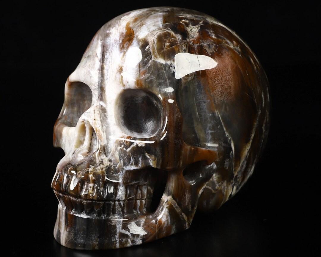 Skullis Crystal Skull, 5.0" Petrified Wood Hand Carved Gemstone Skull ...