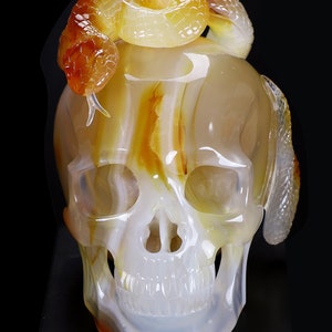 Skullis Crystal Skull, Five Poisons - 6.2" Carnelian Carved Crystal ...