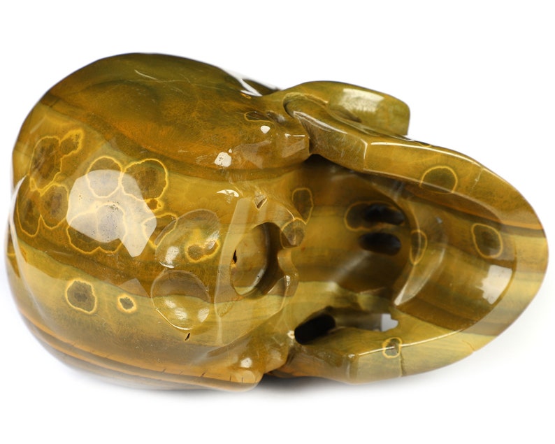 Skullis Crystal Skull, Hand Carved 5.2" Ocean Jasper Hand Carved ...